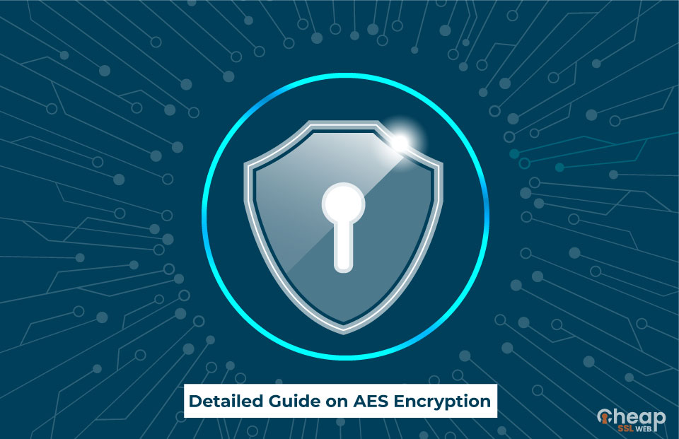 Extensive Overview of Hardware Security Modules (HSMs) Extensive Overview of Hardware Security Modules (HSMs)